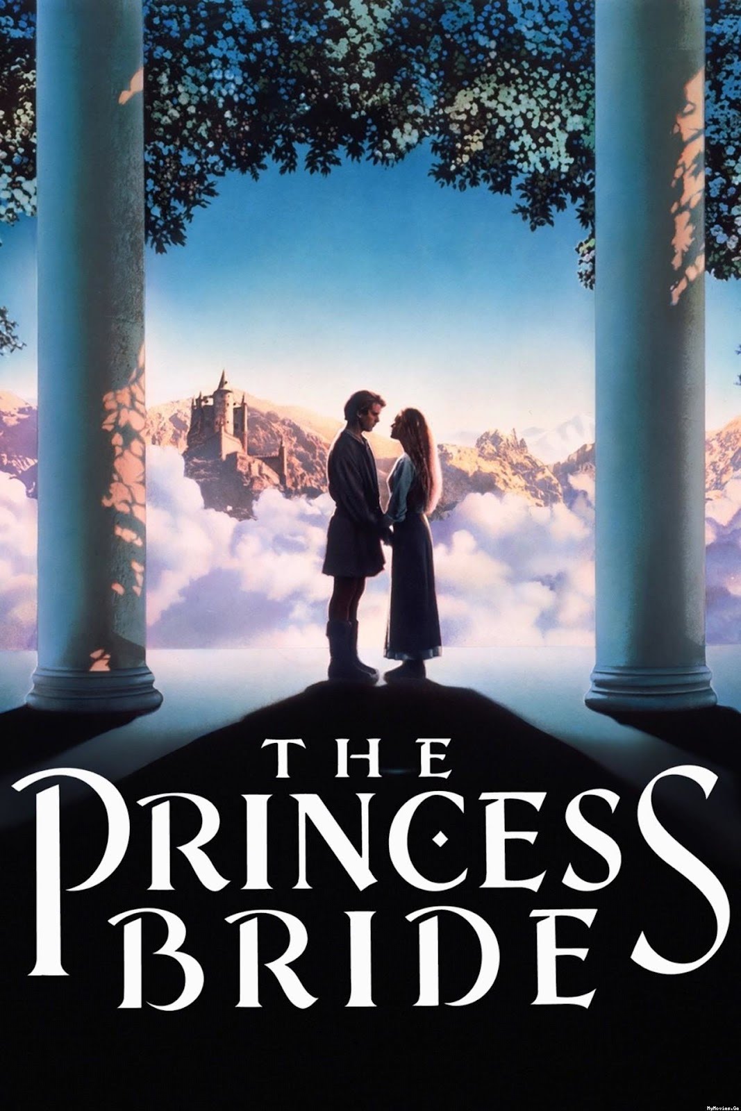 Leadership Lessons from Princess Bride – The Business of Talent